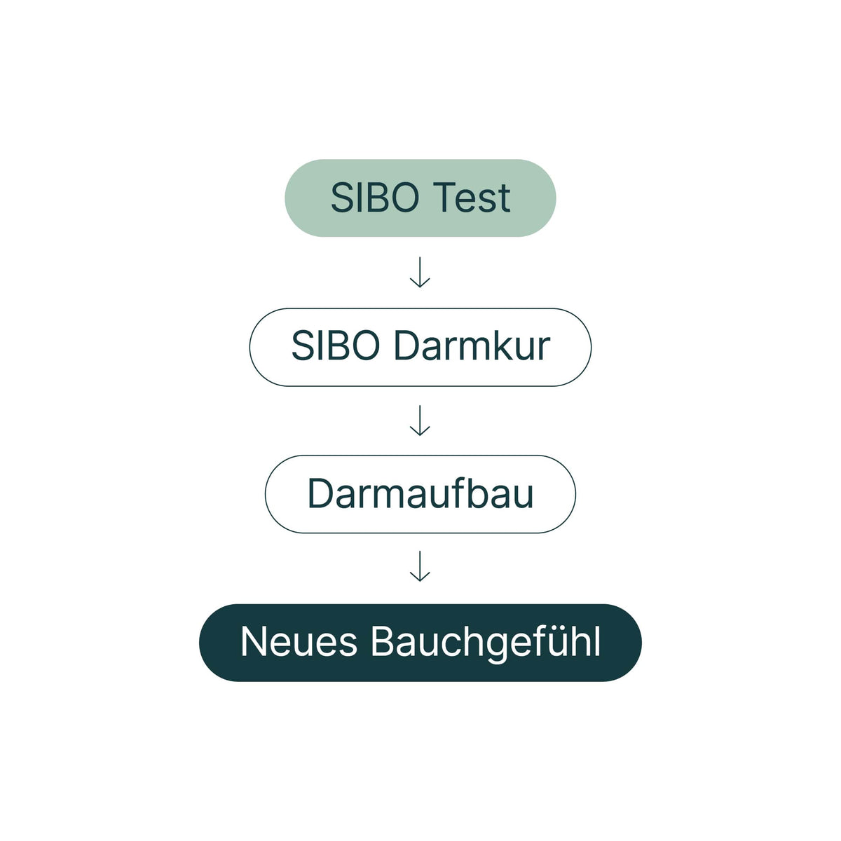 SIBO Test für Zuhause • Laktulose Atemtest • Reizdarm Ursache finden