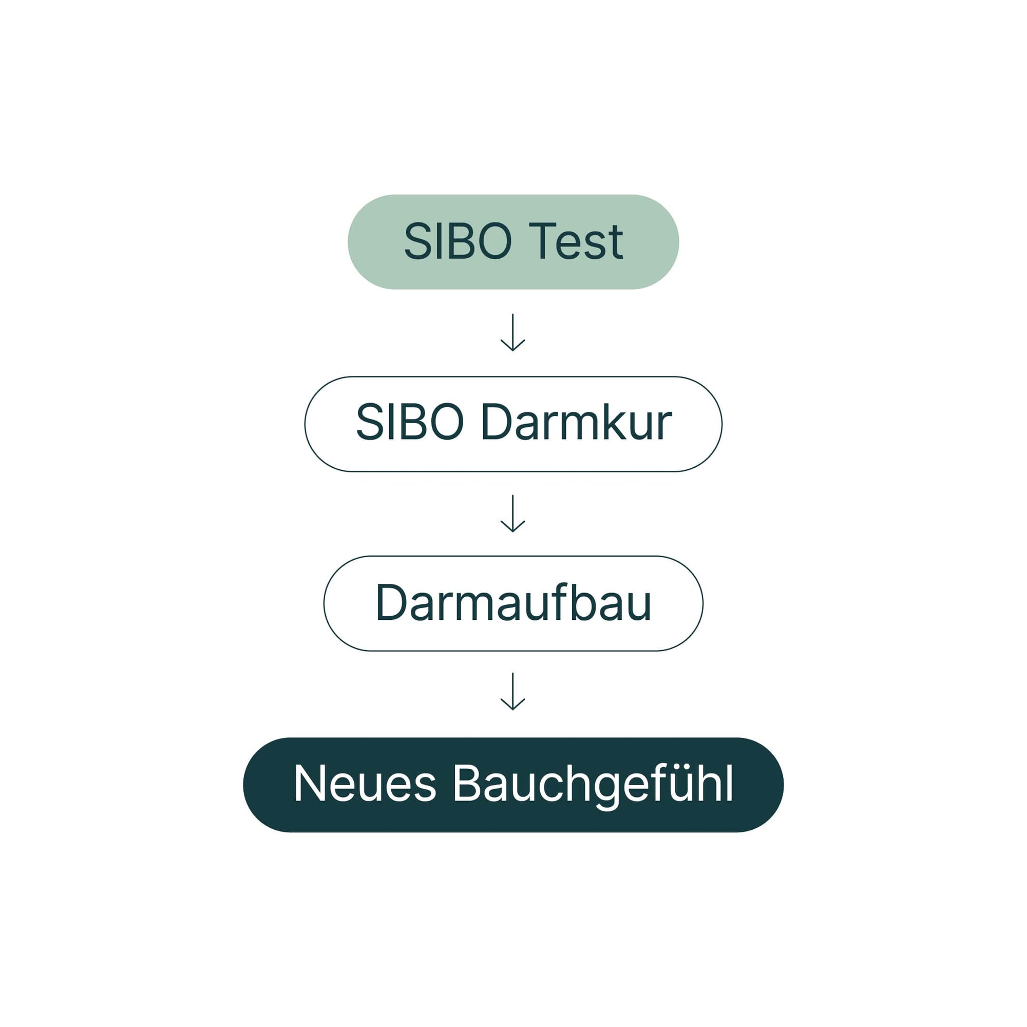 SIBO Test für Zuhause • Laktulose Atemtest • Reizdarm Ursache finden